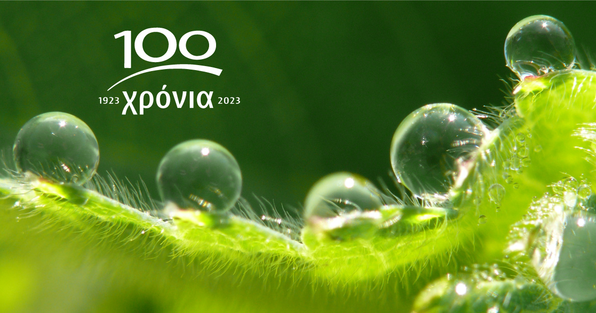 100years-avogel-website-slider-gr_2.jpg?m=1686646720